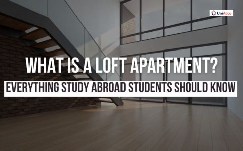 What is a Loft Apartment? Everything Study Abroad Students Should Know ...